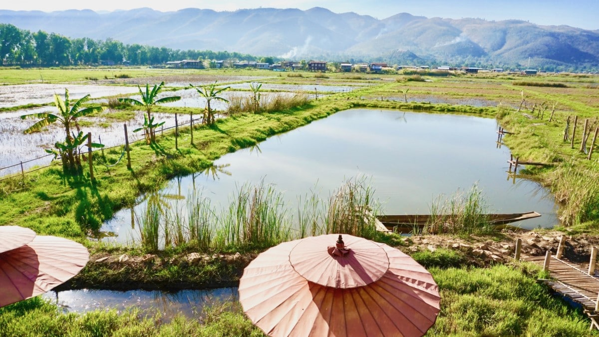Inle Lake's Best Sunset: La Rizière Buvette - Bohemian Vagabond - Jacki ...