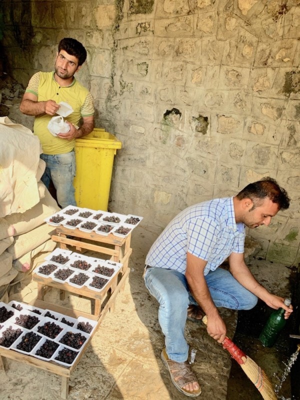 Iran Culture Facts: Ethnicity, Religion and People - Bohemian Vagabond ...