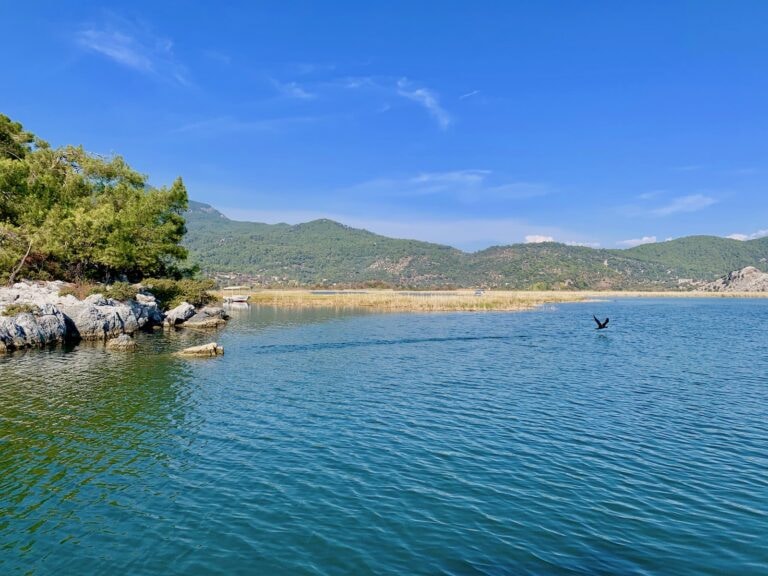 Dalyan: The Quaint Riverside of South Turkey - Bohemian Vagabond ...